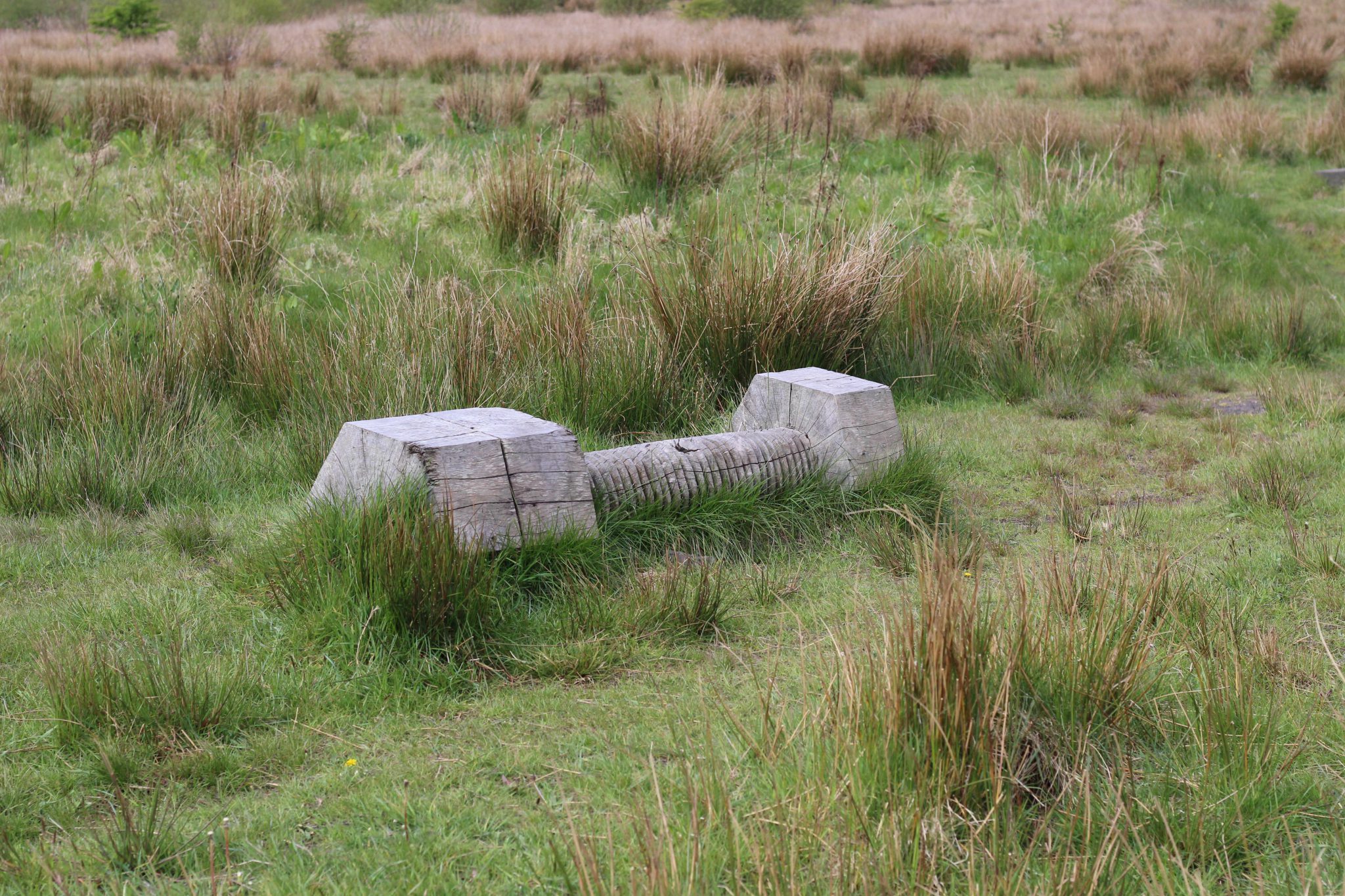Countryside Code – Sirhowy Hill Woodlands